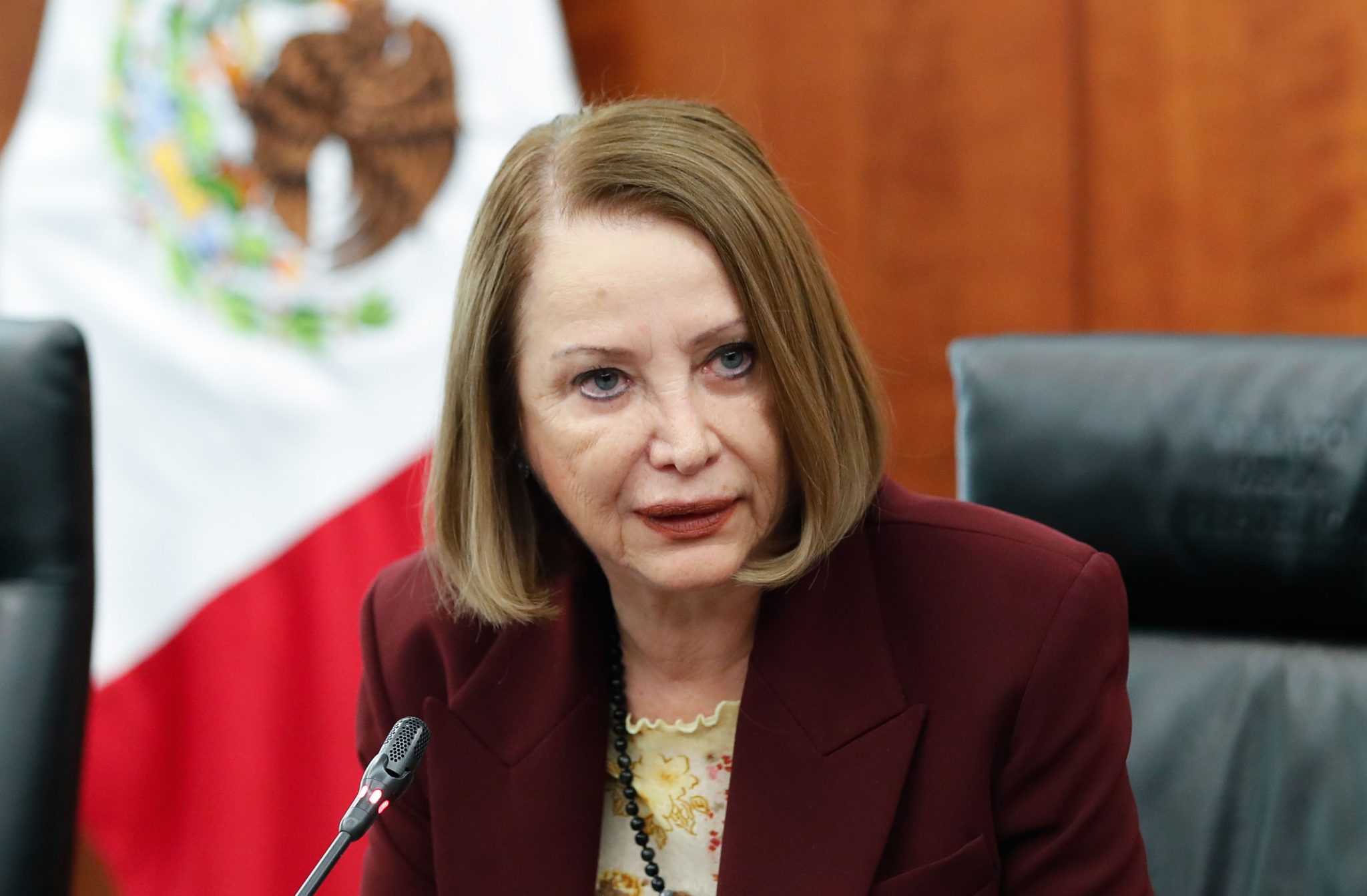 Aprobará Senado proyectos para avanzar en la política nacional de igualdad, adelanta Castillo ...